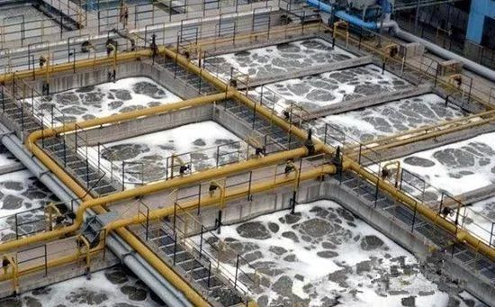 Pig Farm Wastewater Treatment Method and Process - Filtration Equipment